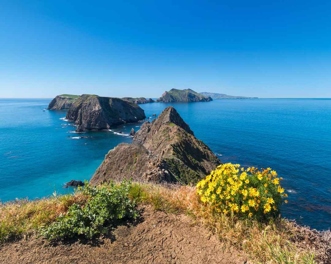 Channel Islands National Park - A Visitor's Guide - National Parks Guide