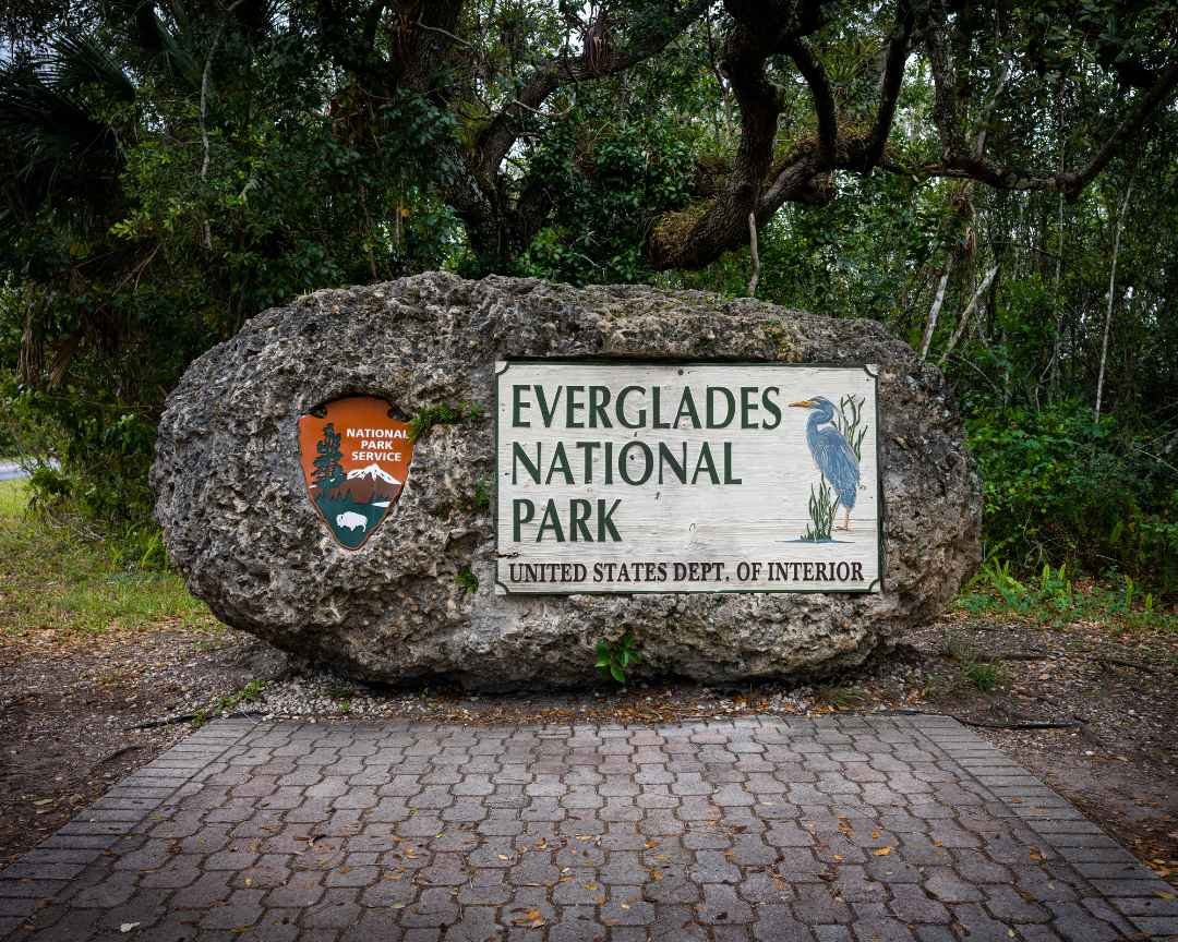 Everglades National Park - A Visitor's Guide - National Parks Guide